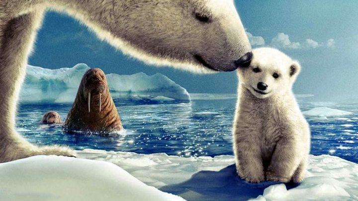 Arctic Tale, cast e trama film - Super Guida TV